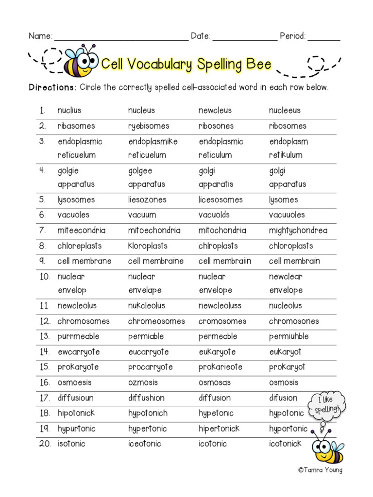 Cell Vocabulary Spelling Bee | PDF | Cell Nucleus | Endoplasmic Reticulum