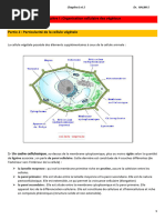 Le Carpelle : Organe des Angiospermes | PDF | Fruit | Embryon