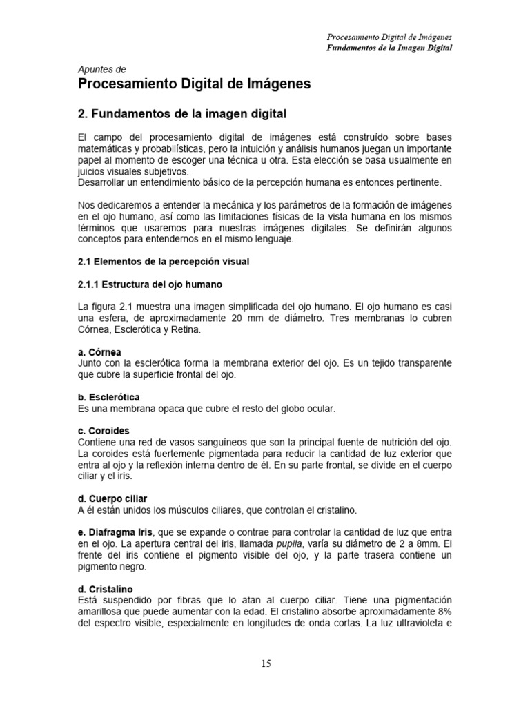 Fundamentos de La Imagen Digital | PDF | Ojo humano | Espectro ...