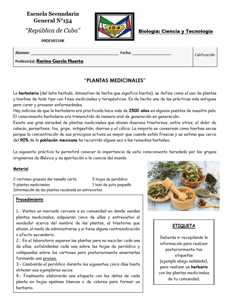 Pr-Ctica de Plantas Medicinales | PDF | Plantas medicinales | Plantas