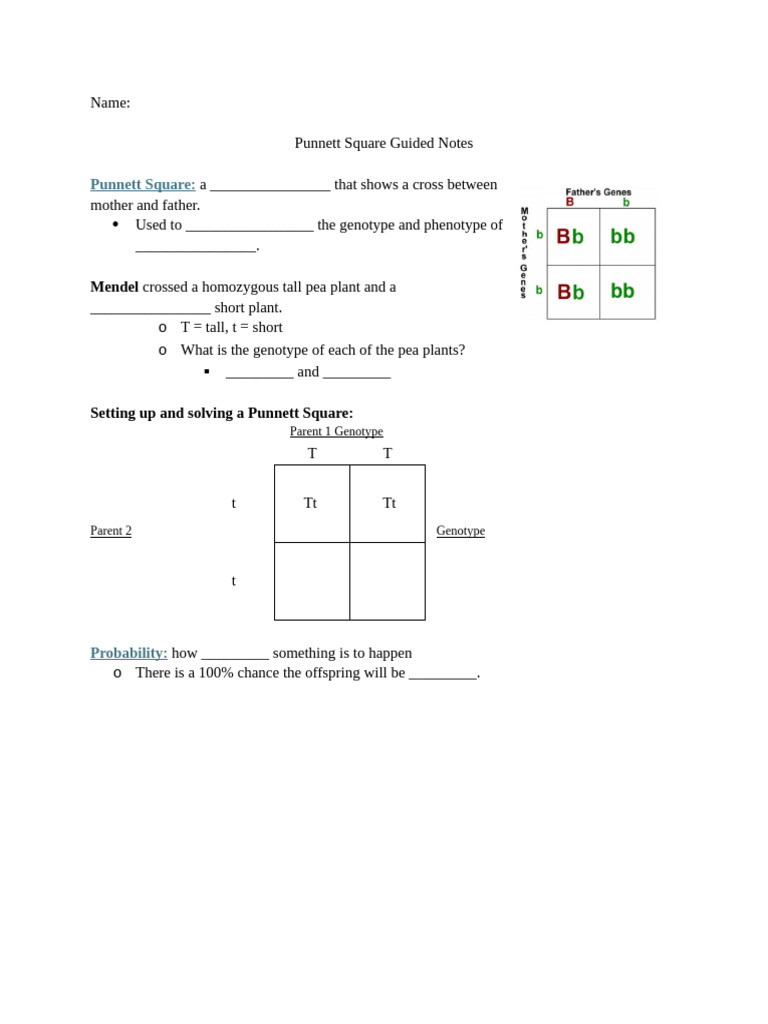 Diana Liashchenko - Punnett Square Guided Notes | PDF | Teaching ...