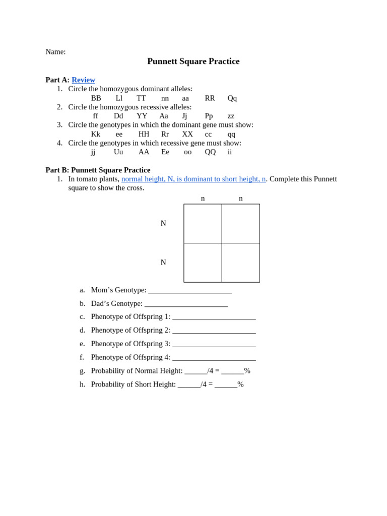 Diana Liashchenko - Punnett Square Worksheet | PDF | Dominance ...
