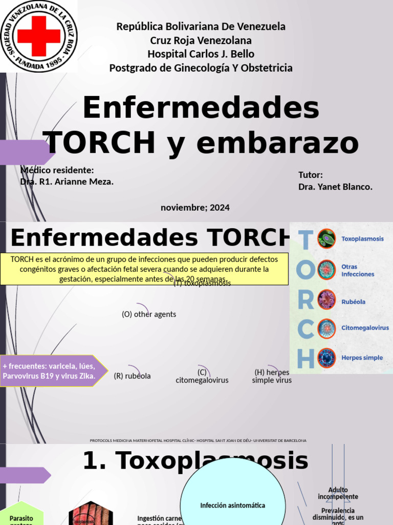 Enfermedades TORCH y Embarazo | PDF | Epidemiología | Salud pública