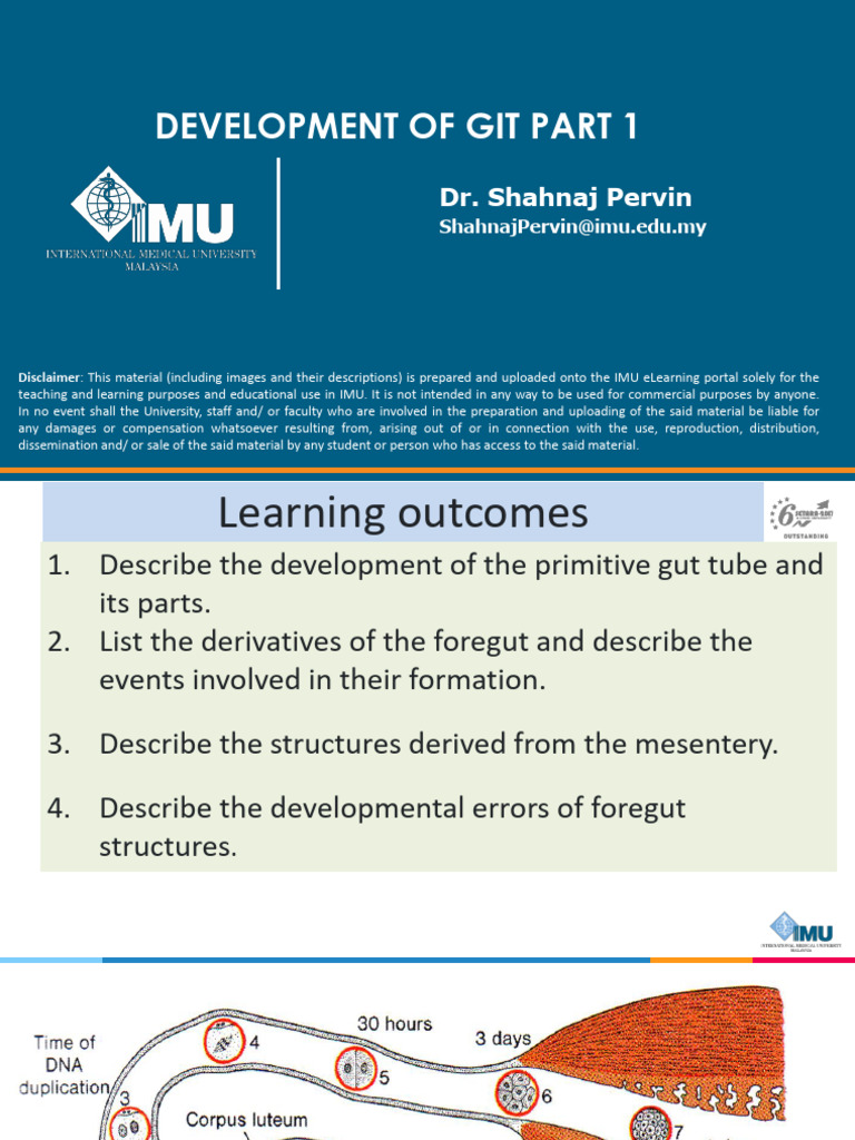 Development of Git Part 1 2024 (DR Shahnaj Pervin) Updated For Upload | PDF | Pancreas ...