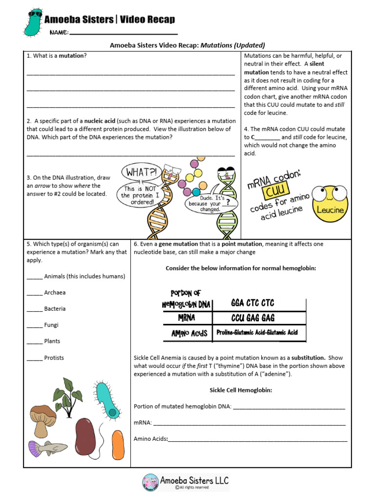 mutations_updated_recap_by_amoeba_sisters | PDF | Genetic Code | Point ...