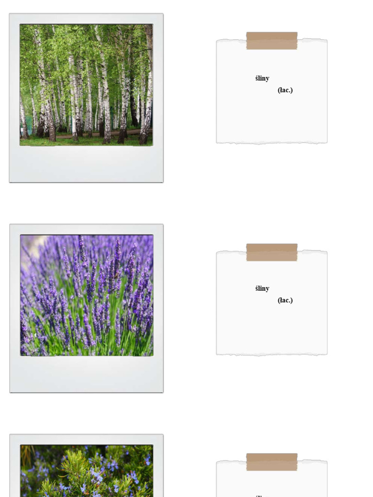 Zielnik - Kopia | PDF