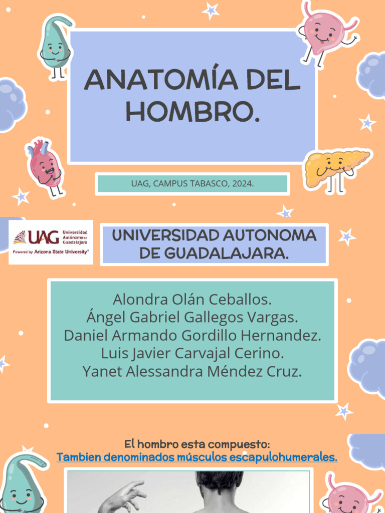 Diapo Anatomia Del Hombro | PDF