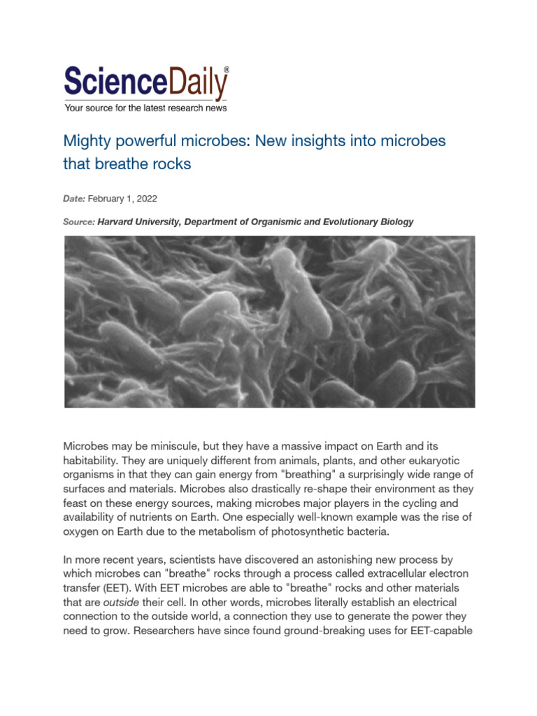 Unit 4 - Current Events Article | PDF | Microorganism | Bacteria