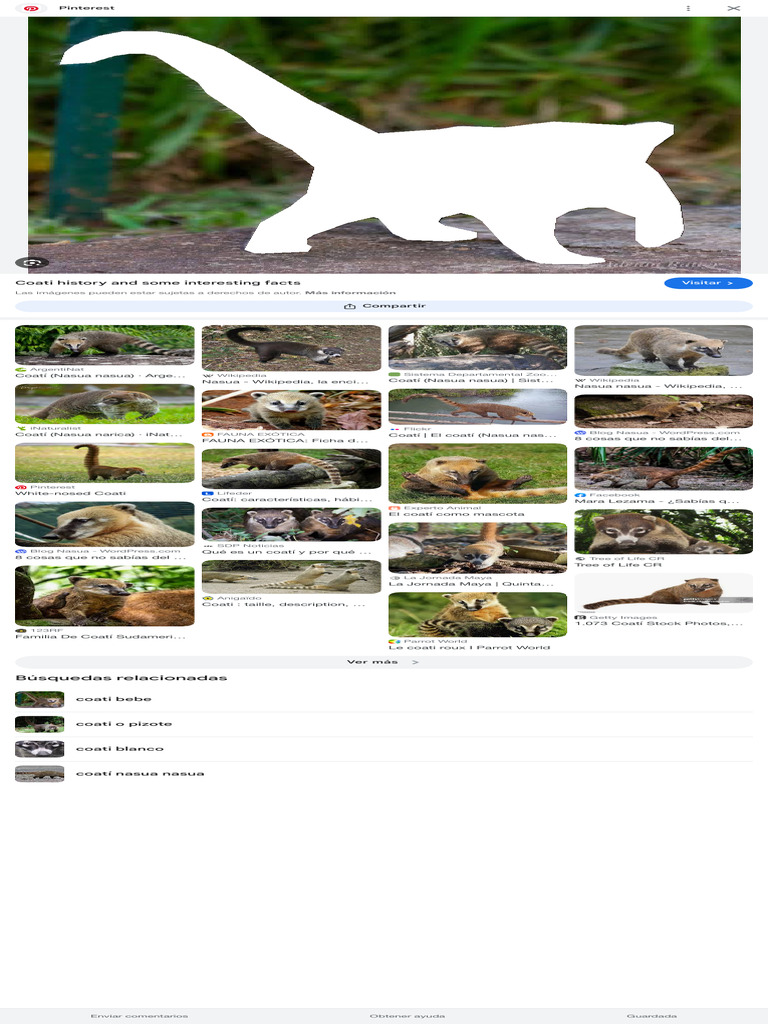 Searchsca Esv 653927ec61d68f4c&sca Upv 1&Rlz 1C9BKJA EnUS987MX987&Hl Es ...