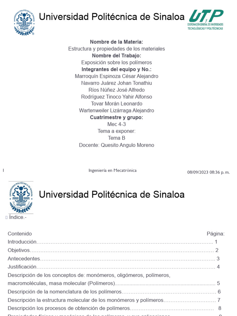 Formato de Exposiciones para E y P M (2023) Y | PDF | Polímeros | Macromoléculas