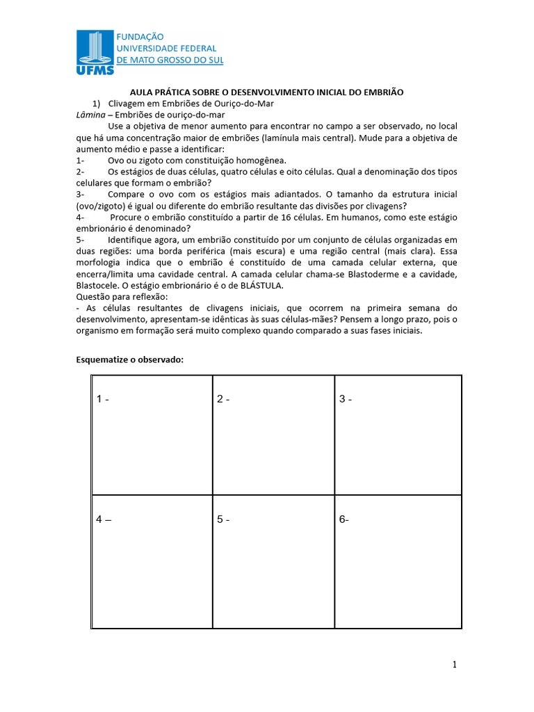 Roteiro Da Aula Prática Sobre Clivagem e Gastrulação | PDF | Ovo ...