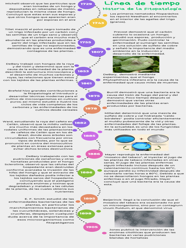 Infografía Cronológica Línea de Tiempo Timeline Sencillo Moderno Multicolor | PDF | Patógeno ...