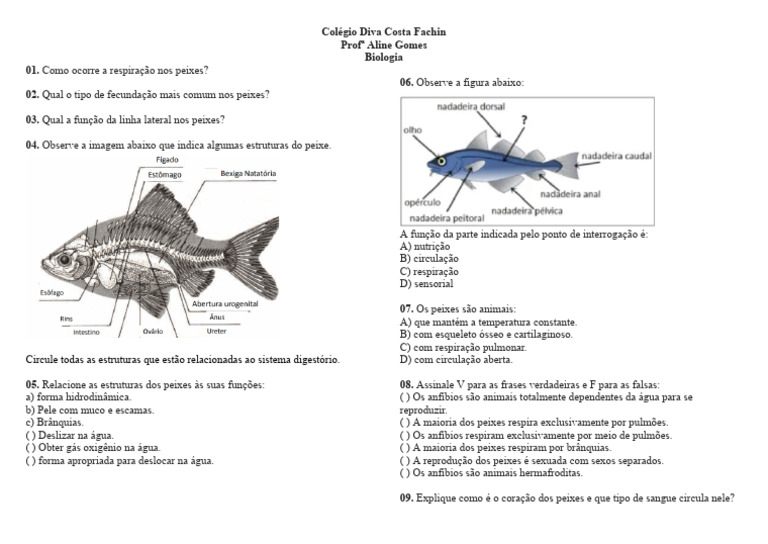 Peixes | PDF | Peixes | Respiração