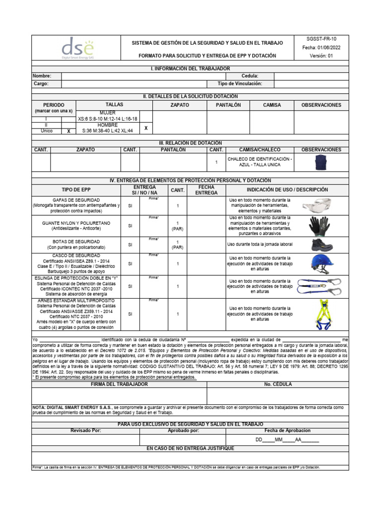 Formato. Entrega EPP DSE | PDF