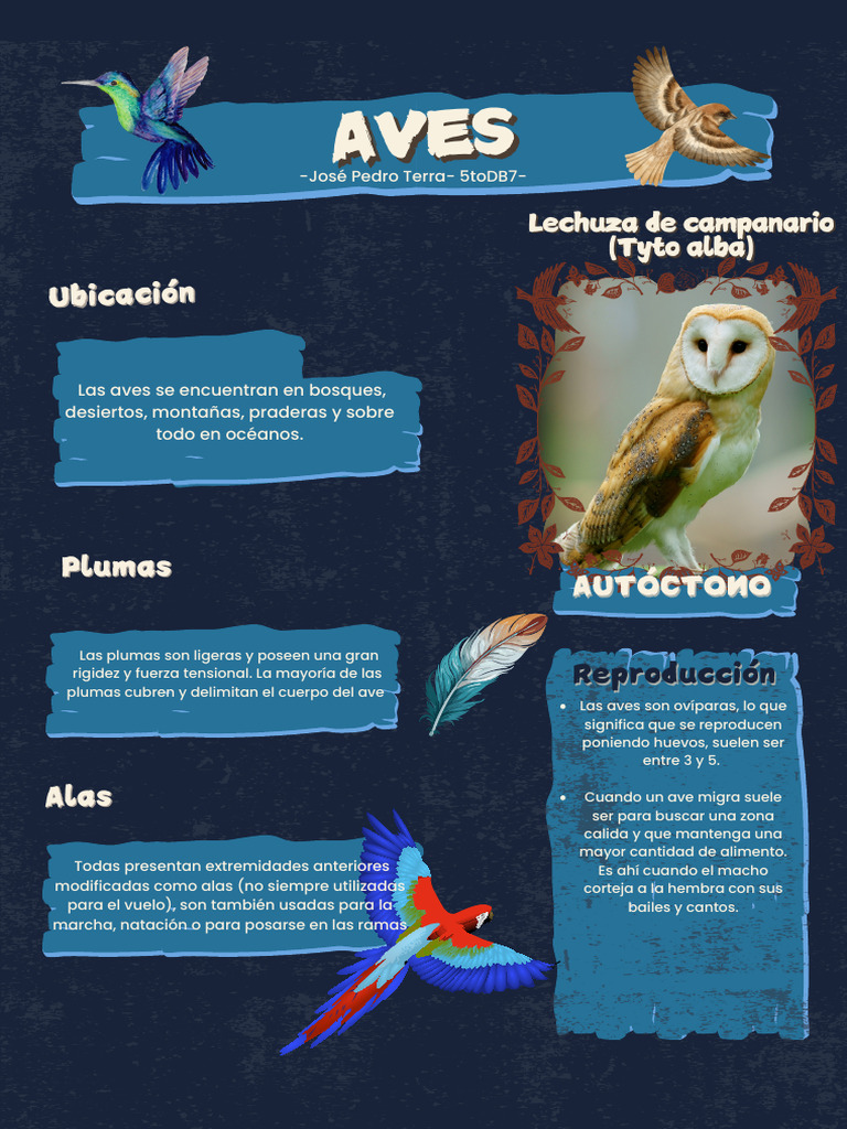 AVES | PDF | Anfibio | Aves