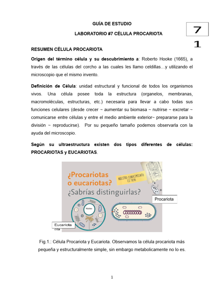 Lab 7 - C Lulaprocariota | PDF | Biología Celular) | Archaea
