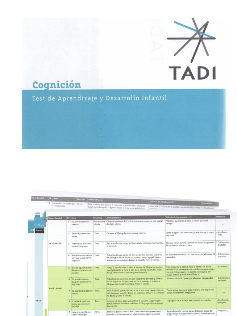 Tadi Manual Del Examinador | PDF