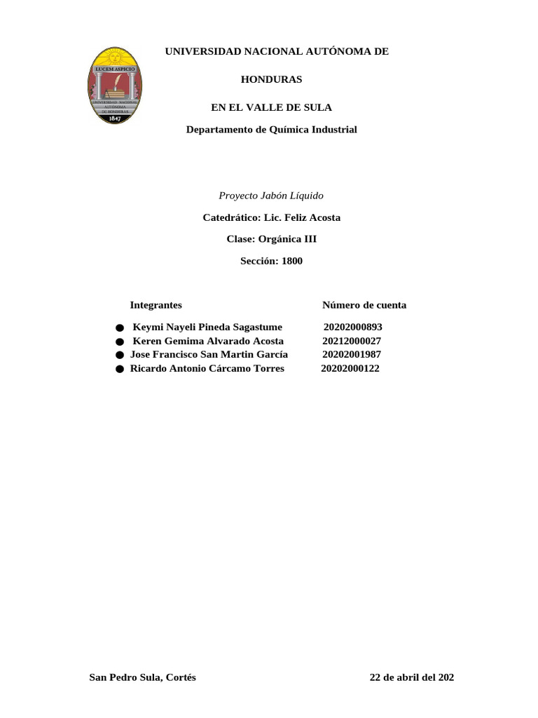 Proyecto Jabon Liquido Orga 2 | PDF | Jabón | Glicerol