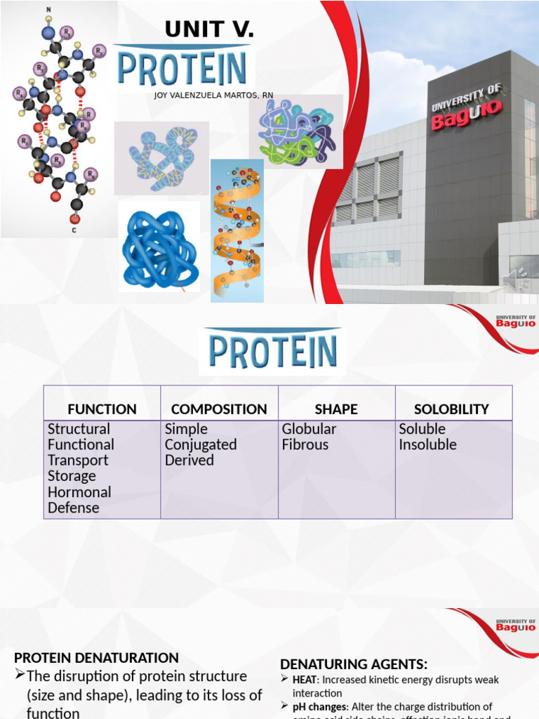 Proteins Type of Proteins | PDF | Proteins | Amino Acid