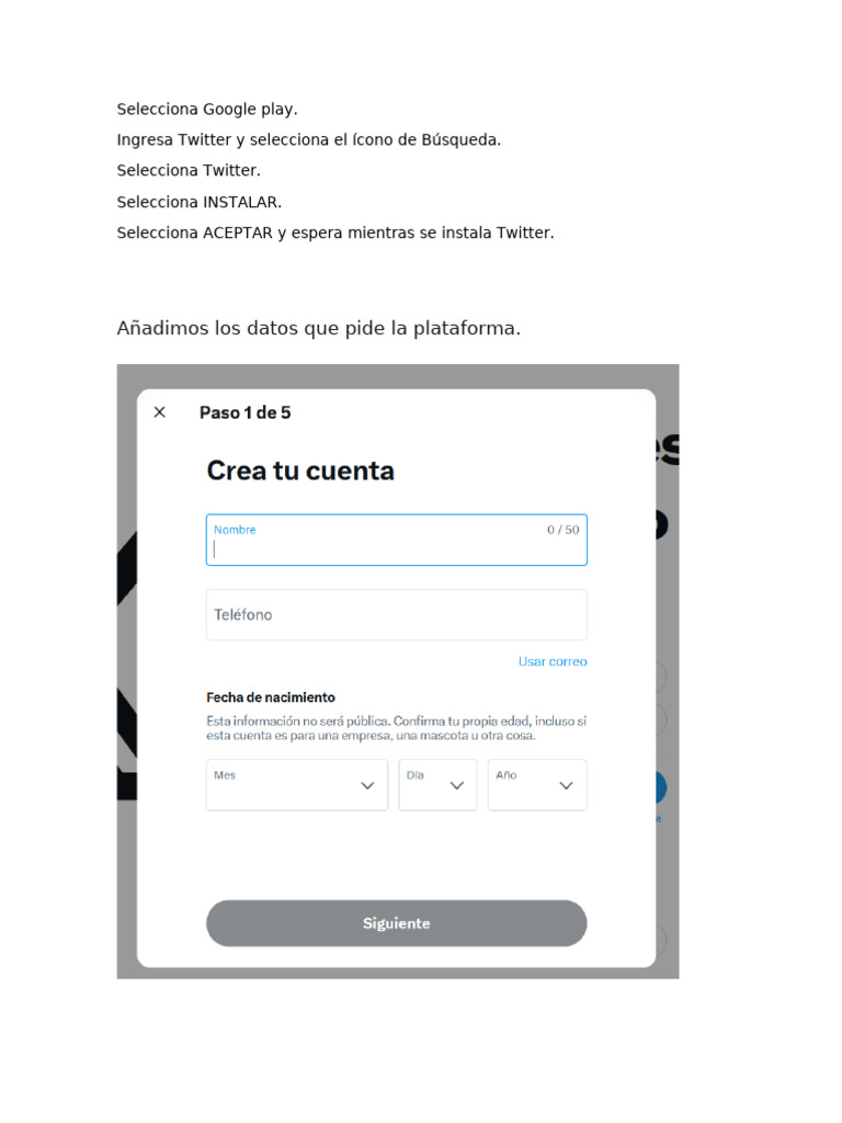 Guia para Tweeter | PDF