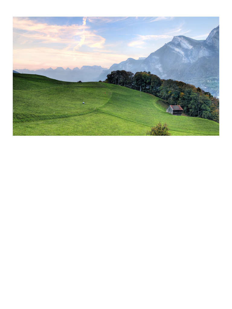 Kami Export - Blank | PDF