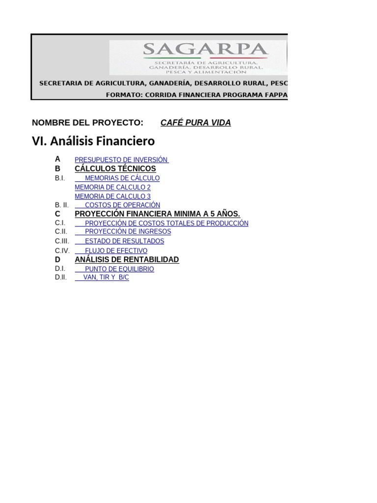 Estudio Financiero Playo Biodegradable. | PDF | Presupuesto | Depreciación
