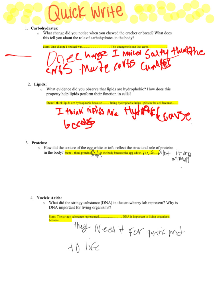 Biochem Post Mini Lab Questions | PDF | Wellness | Science & Mathematics