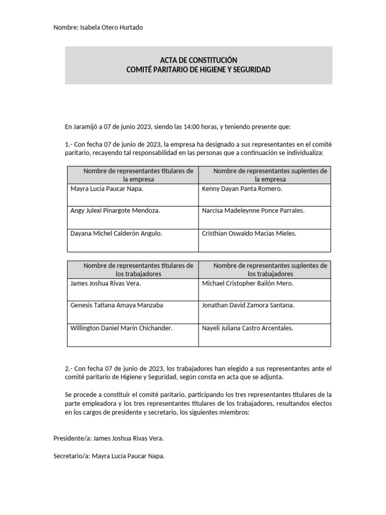 Acta de Comité Paritario | PDF