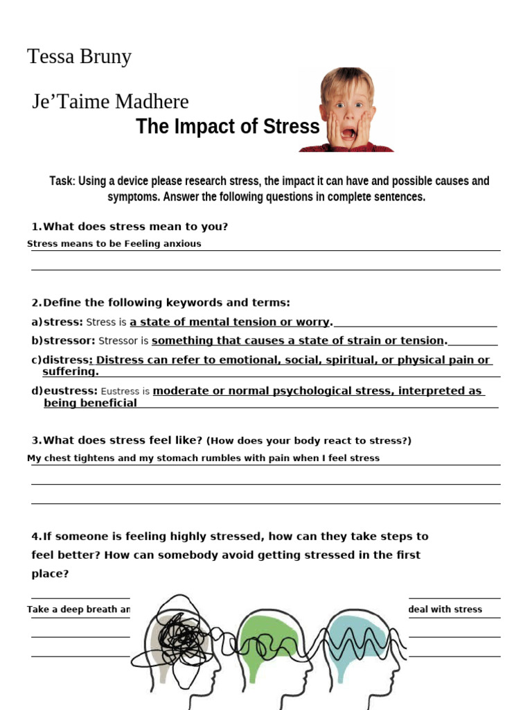 The Impact of Stress Activity-1 | PDF