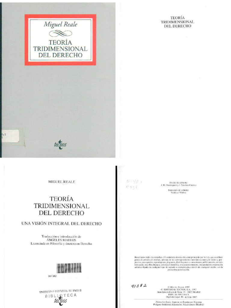 Teoria Tridimencional Derecho-Miguel Reale | PDF