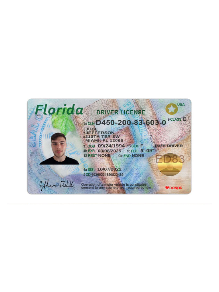 DL Florida Jeff | PDF