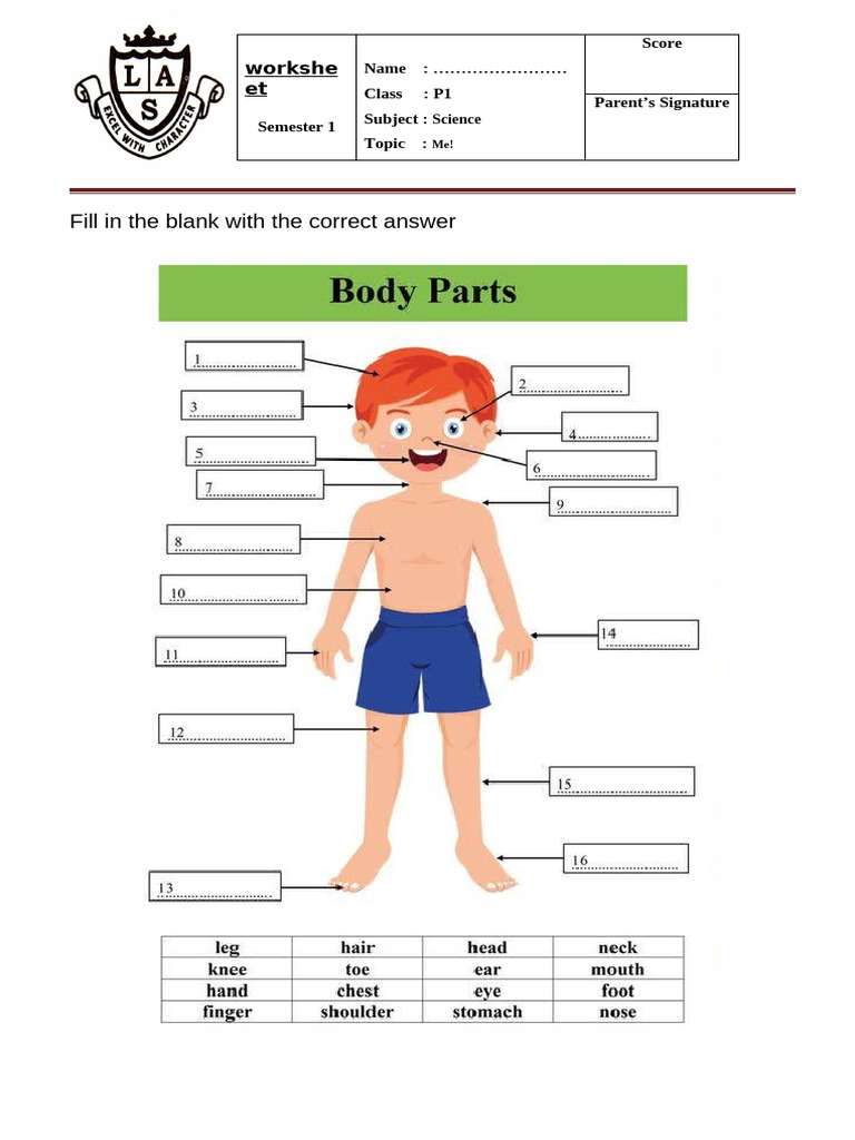 P1 Worksheet Me! | PDF | Language Arts & Discipline
