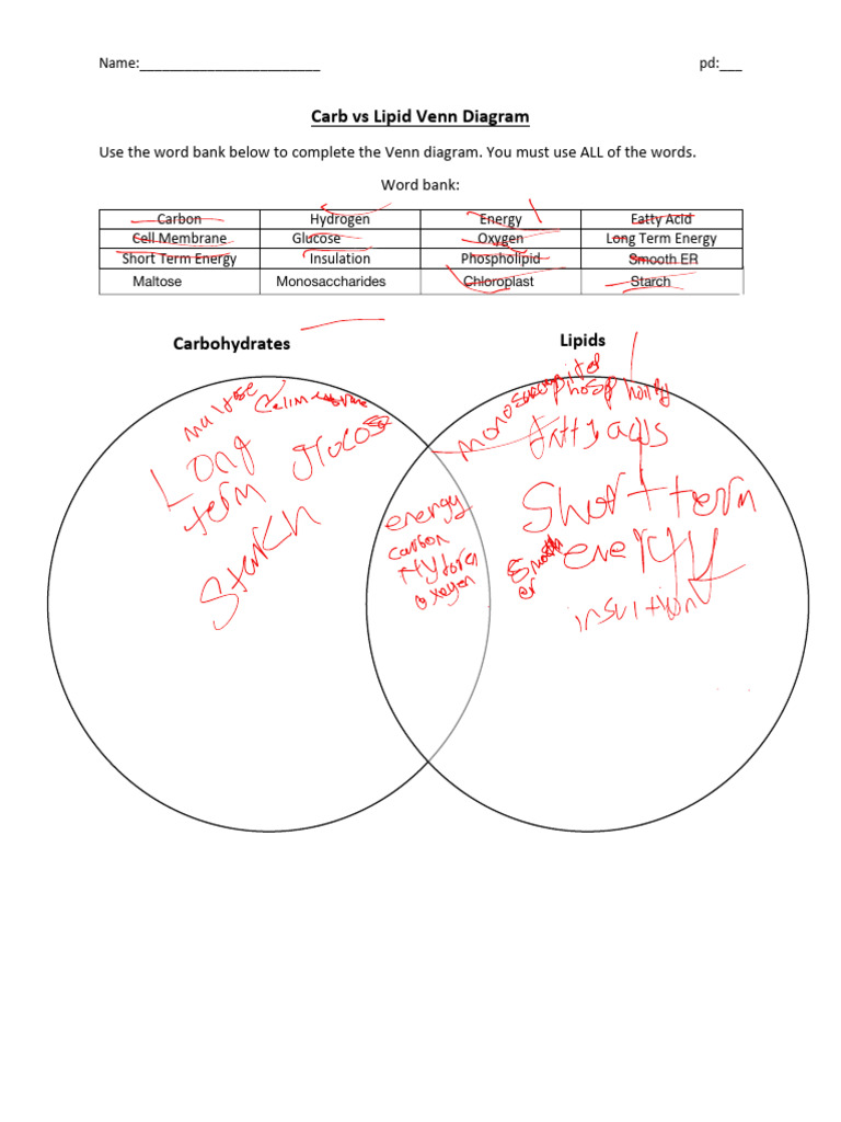 Carb Vs Lipid Venn Diagram - WU | PDF