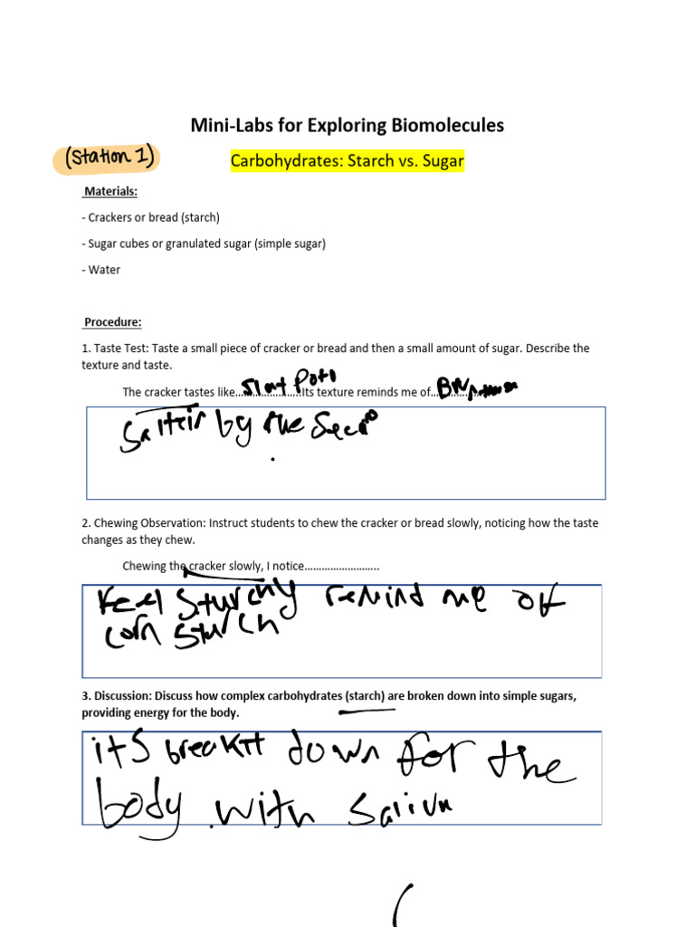 Mini Lab Introduction Biomolecules | PDF | Starch | Organic Compounds