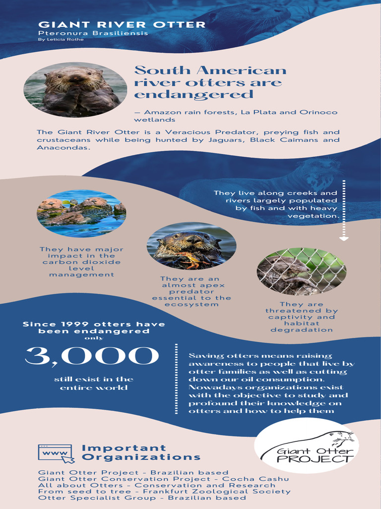 Giant Otter Project | PDF | Science & Mathematics | Technology ...