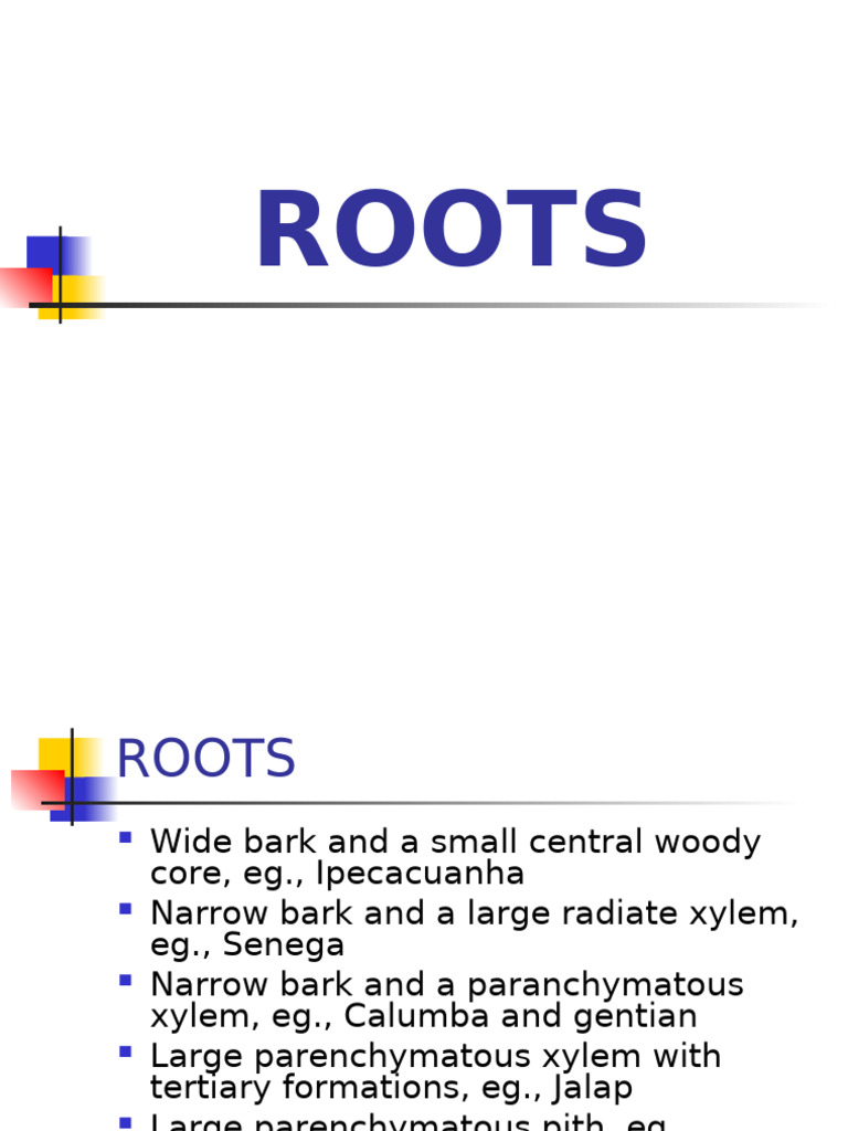 root 3A | PDF | Sugar | Diet & Nutrition