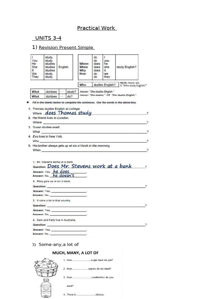 English Basics for Beginners | PDF | Foreign Language Studies