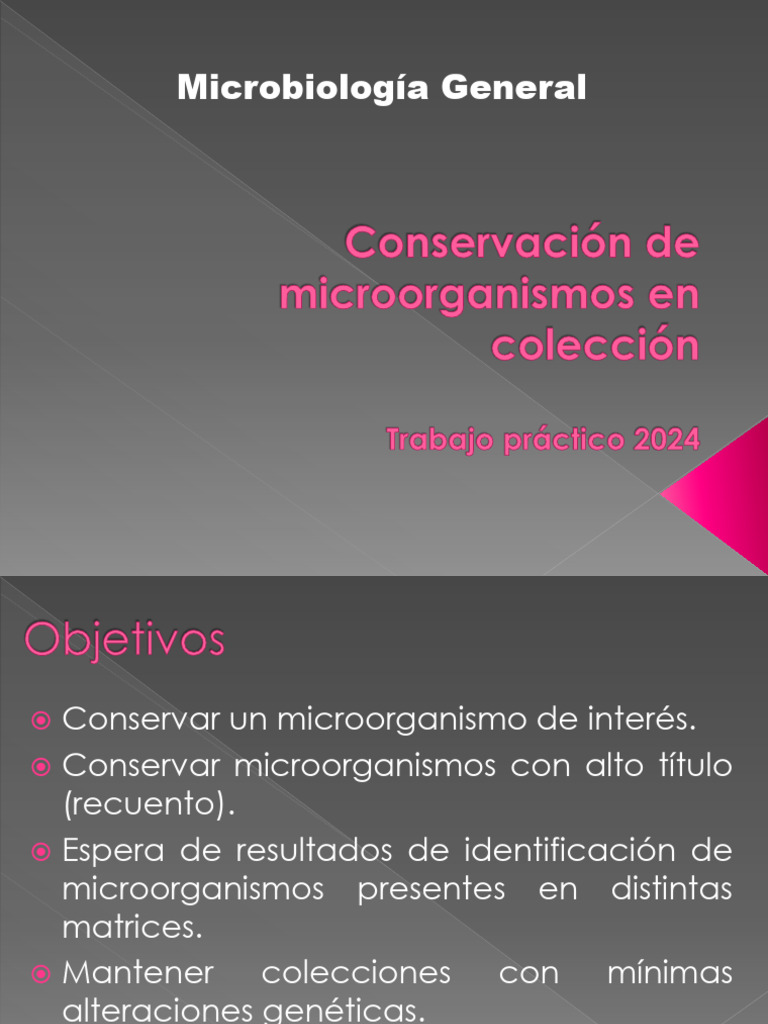Intro TP Conservación de Microorganismos 2024 | PDF | Microorganismo | Agua