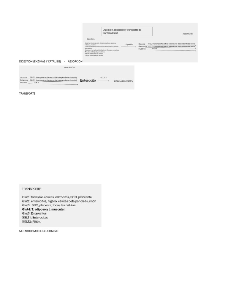 Bioq-Examen Final | PDF | Salud y bienestar