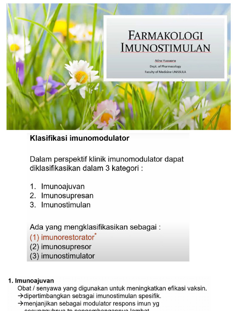 KULPAK Imunostimulan, Bu Atina | PDF