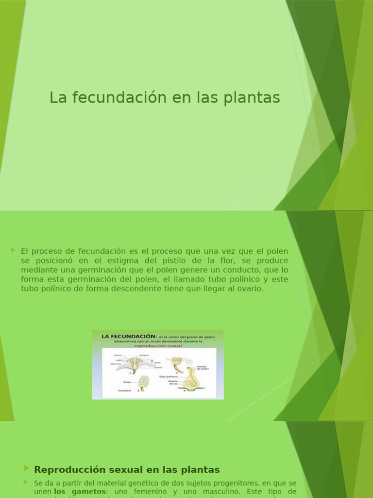 La Fecundación en Las Plantas | PDF | Ciencia y matemáticas