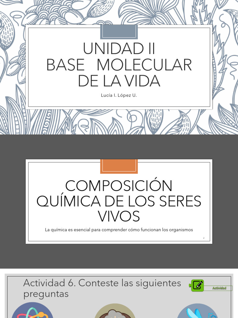 Unidad 2 Base Molecular de La Vida | PDF | Carbohidratos | Lípido