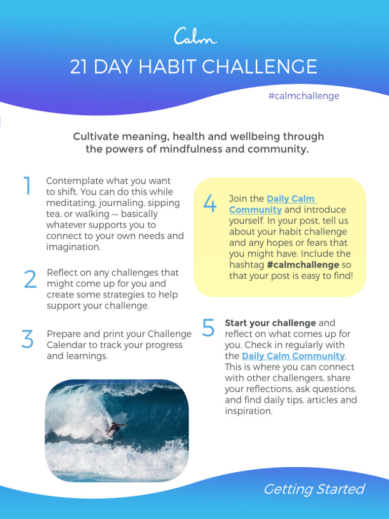 21-Day Habit Challenge Guide | PDF | Psychological Concepts | Psychology