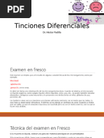 Tinción Verde Metilo-PIRO | PDF | Tinción | Adn