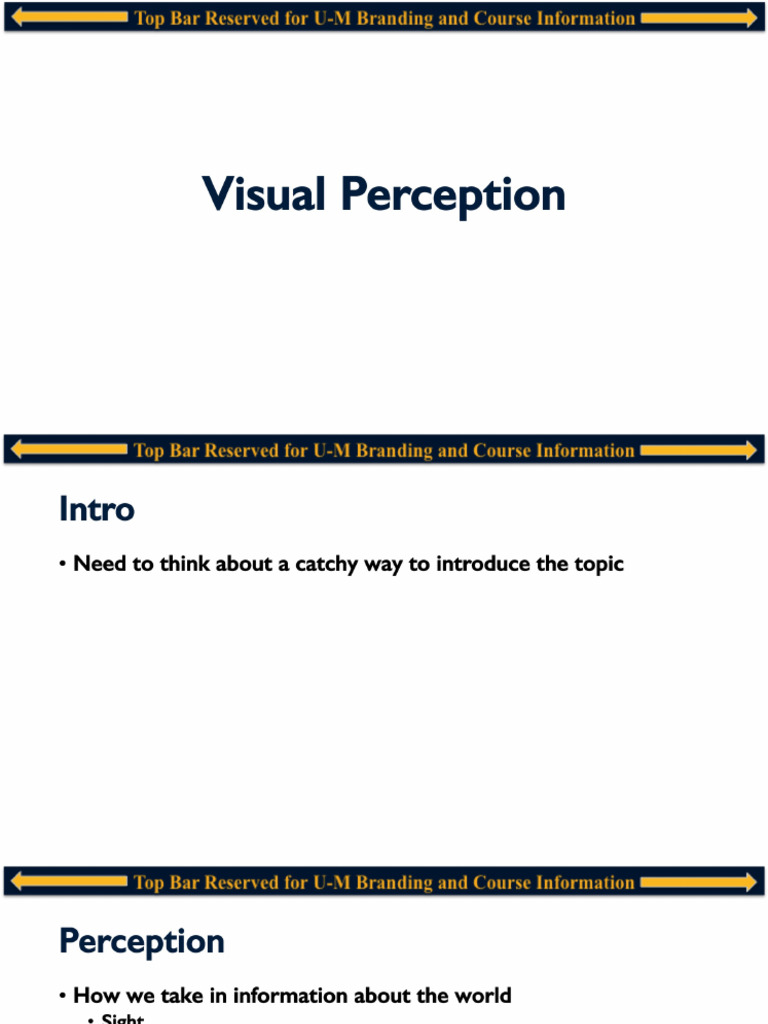 Visual Perception Part 1 | PDF