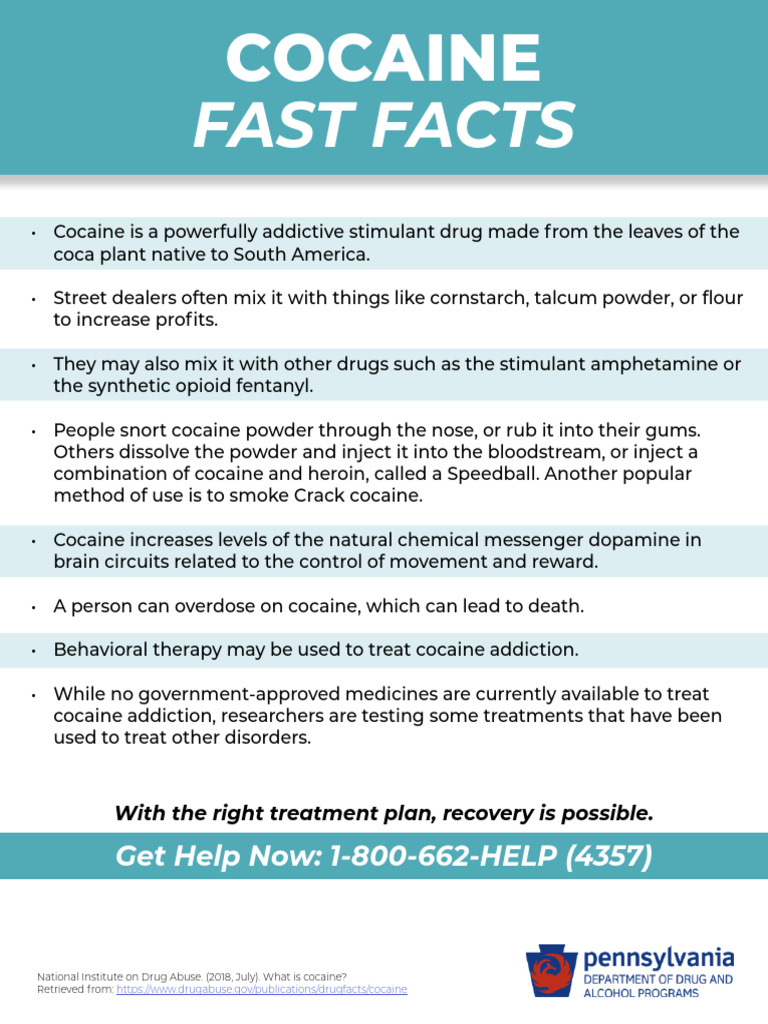Cocaine | PDF | Self-Improvement | Wellness