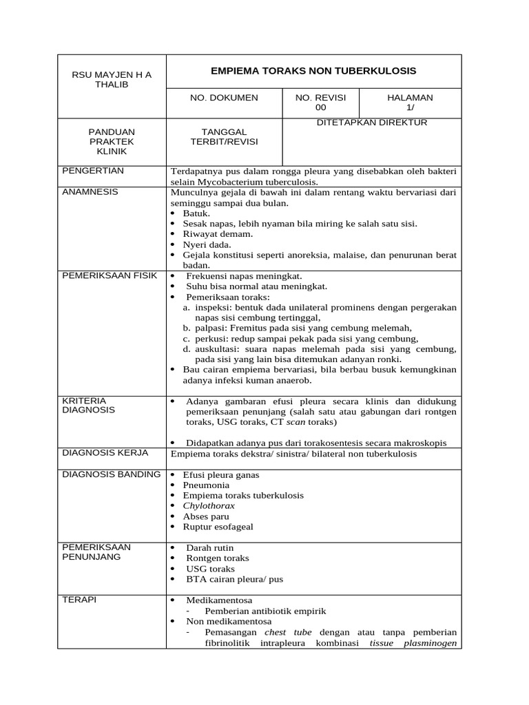 PPK Empiema Toraks Non TB | PDF