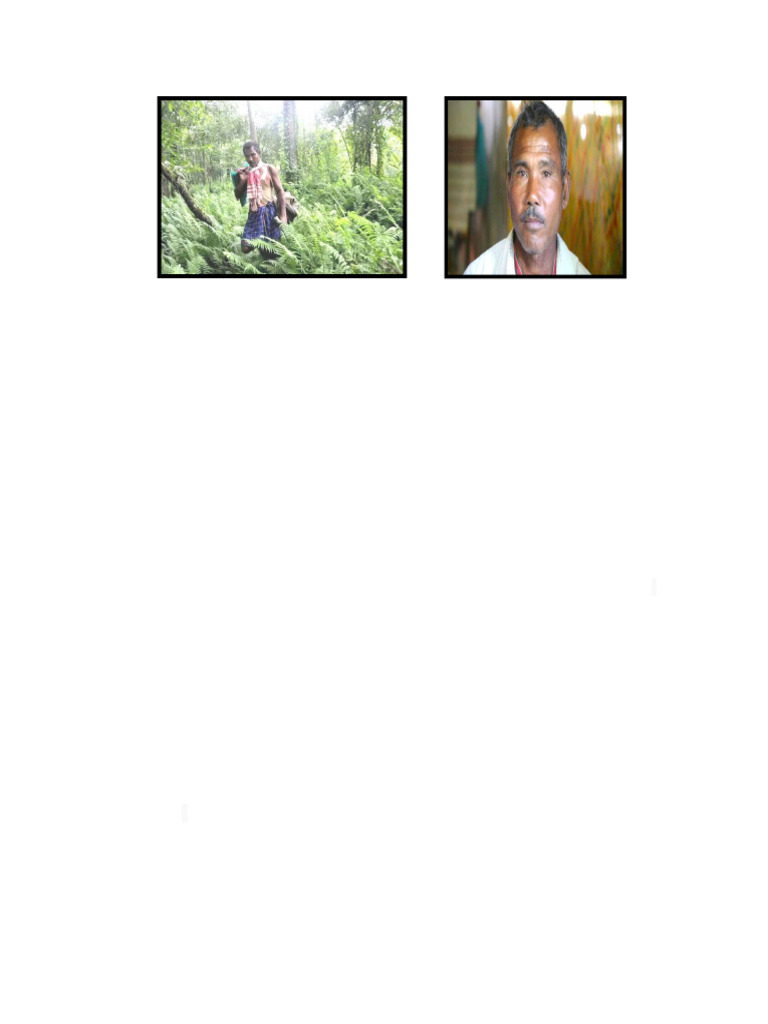 DR Payeng | PDF