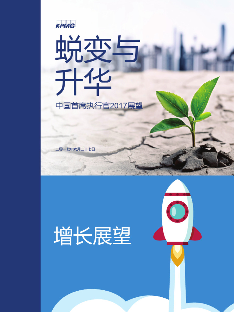 2017 China Ceo Outlook Slides | PDF