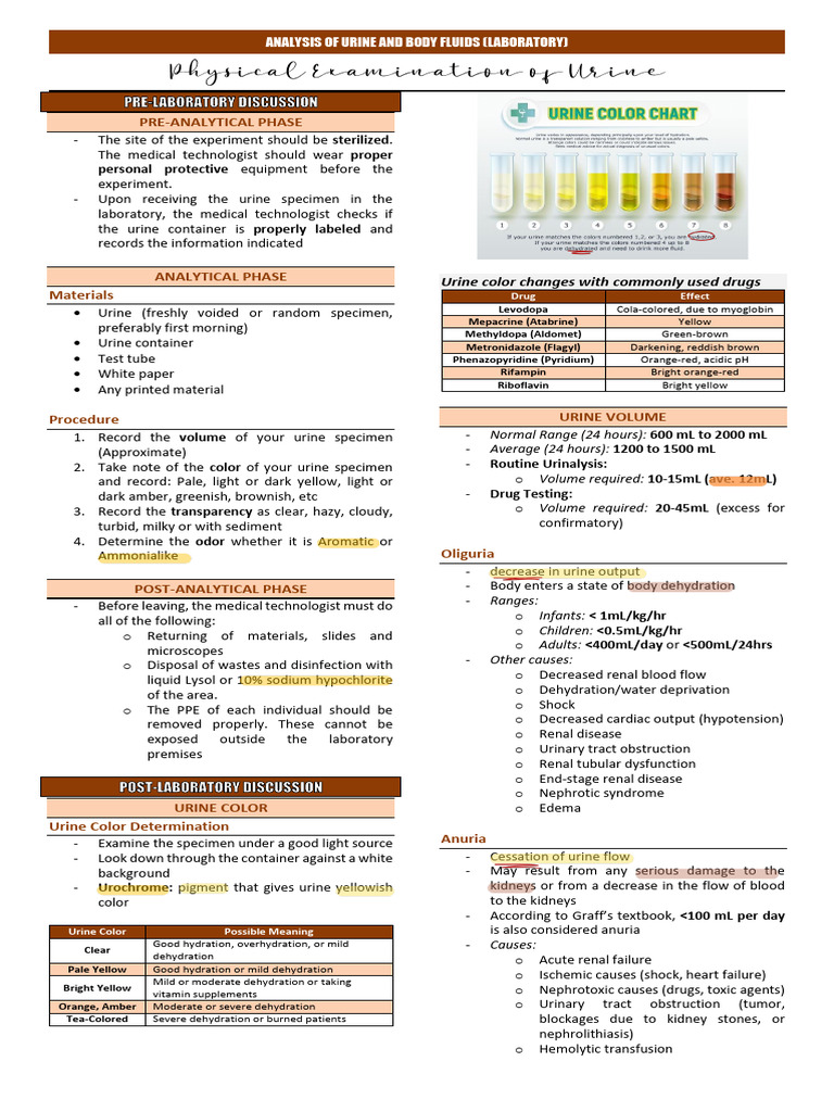 Practical-Routine-Urinalysis 241111 171658 | PDF | Urine | Urinary Tract Infection